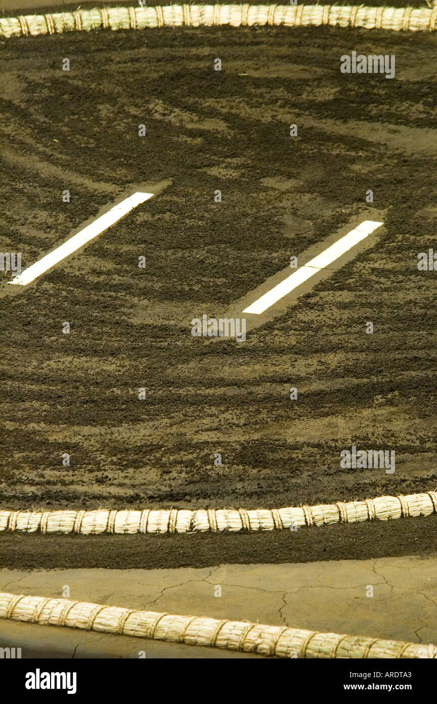 The sumo ring at the Ryogoku stadium in Tokyo Japan Stock Photo - Alamy