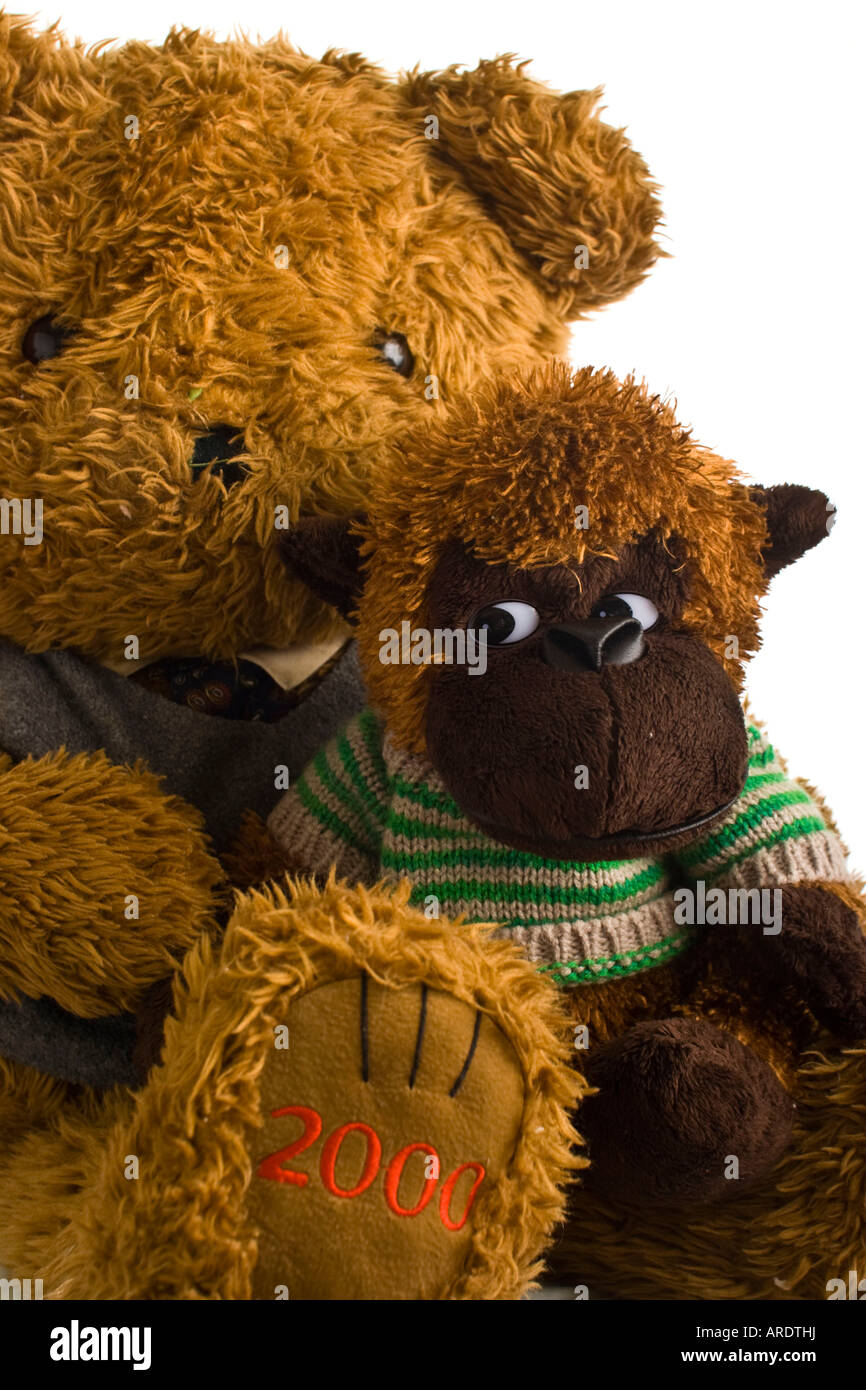 Two teddy bears Stock Photo - Alamy