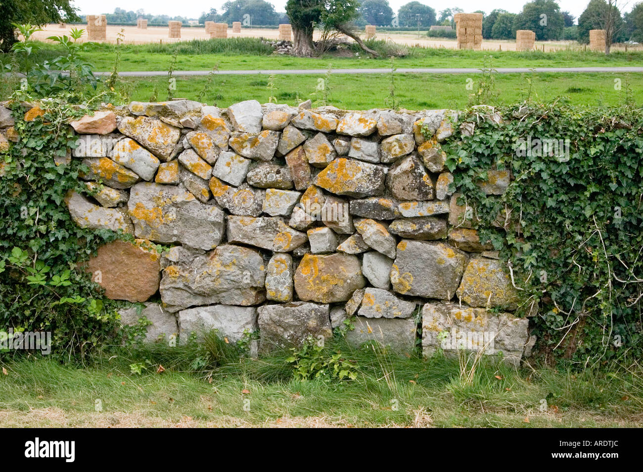 Dry stone wall Wiltshire England UK Stock Photo - Alamy