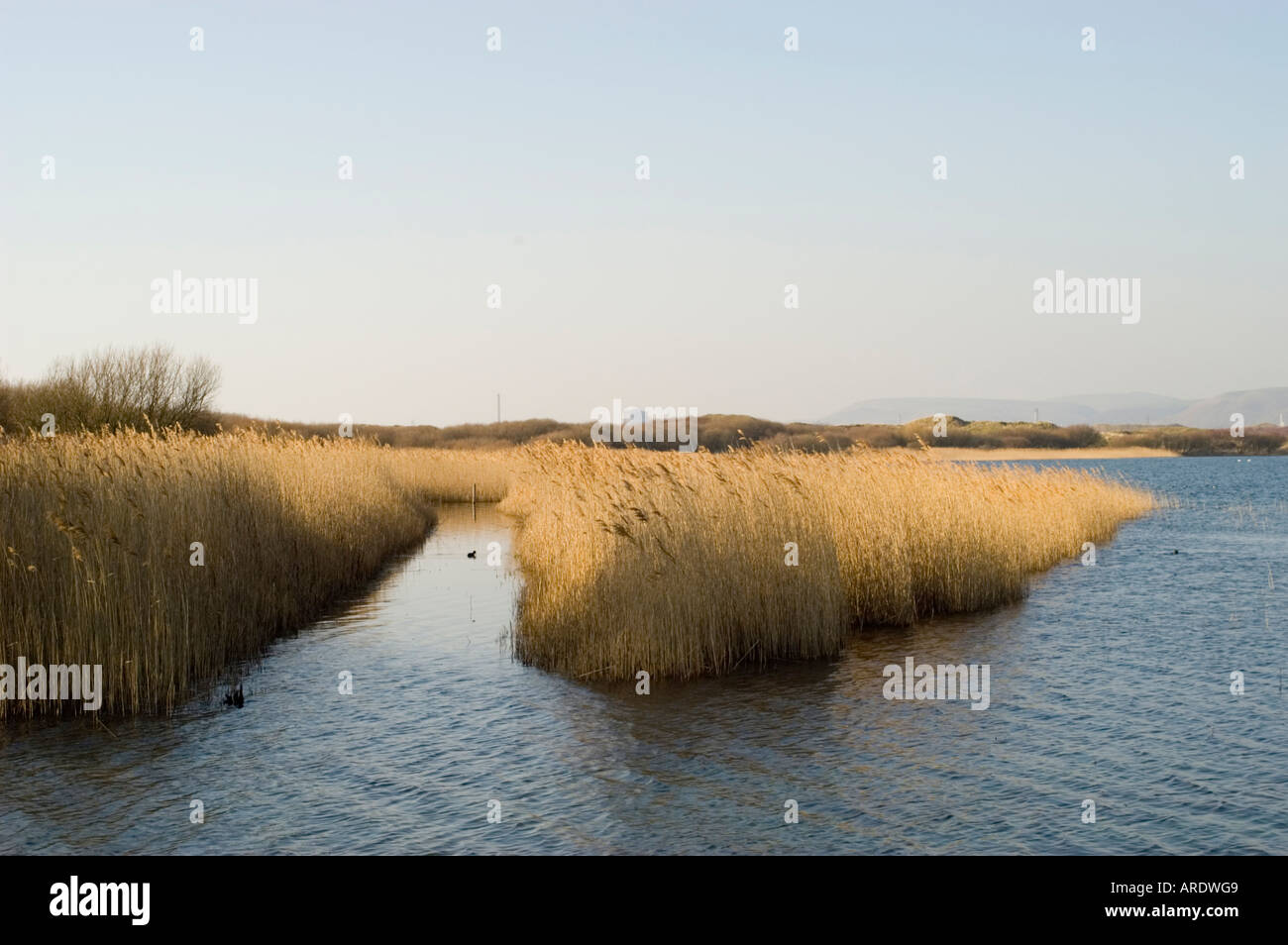 Kenfig pool wales hi-res stock photography and images - Alamy
