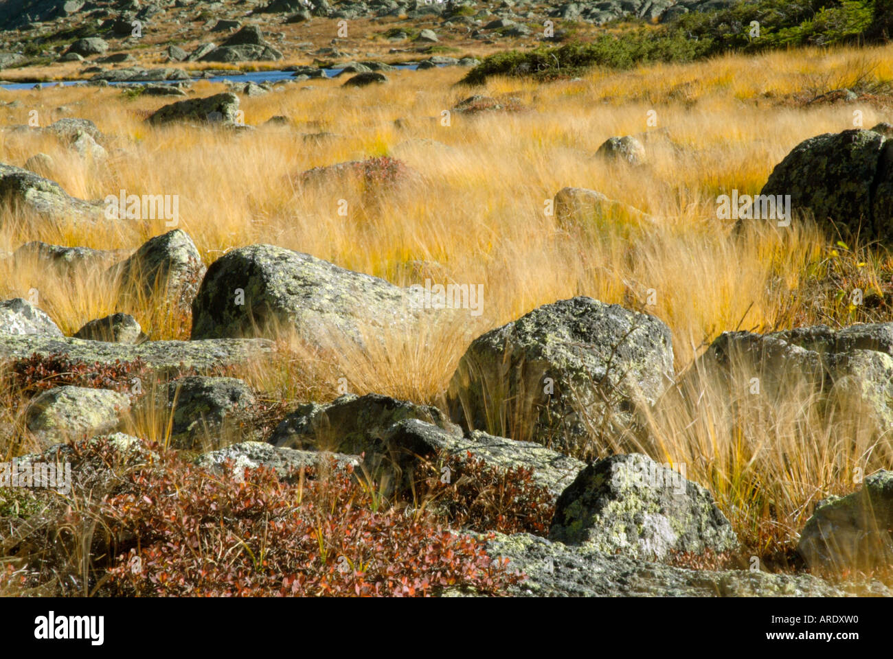Star Lake, which is located near Mount Madison in the Presidential ...