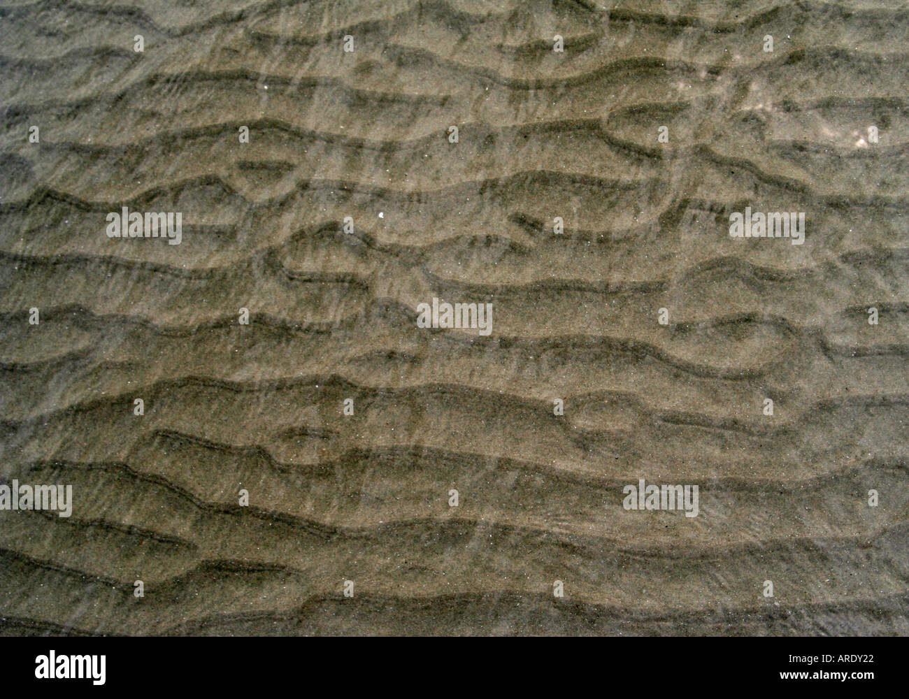 underwater sand wavy pattern on Newport beach Newport Rhode Island ...