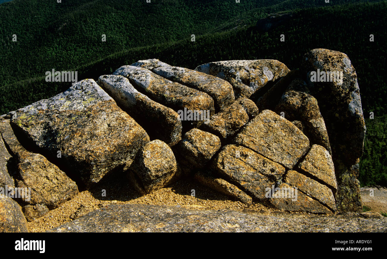 Mount Crawford White Mountain National Forest of New Hampshire USA ...