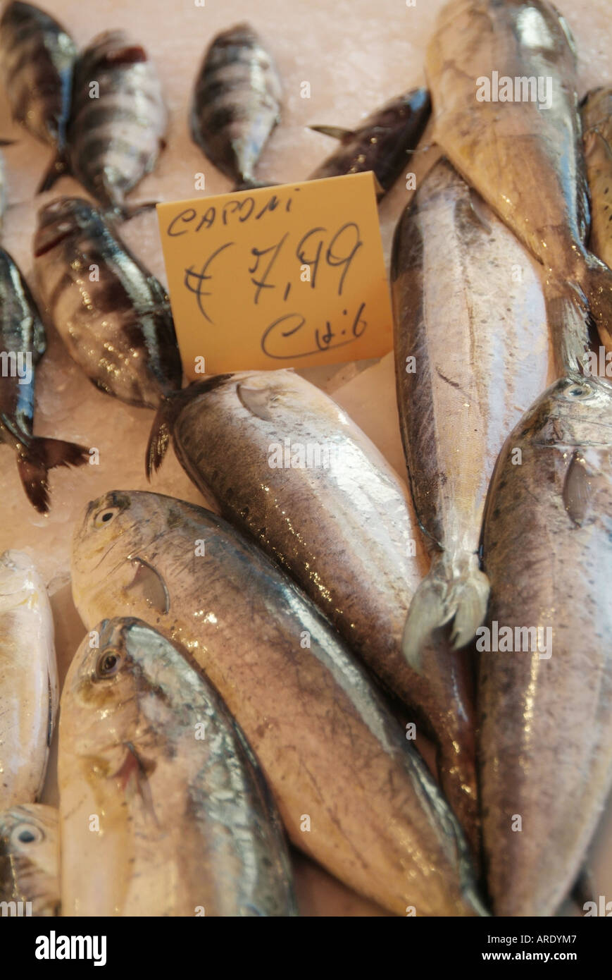 Ice, cold, slab, refrigreration, refrigerated, cool, cool, keep ...