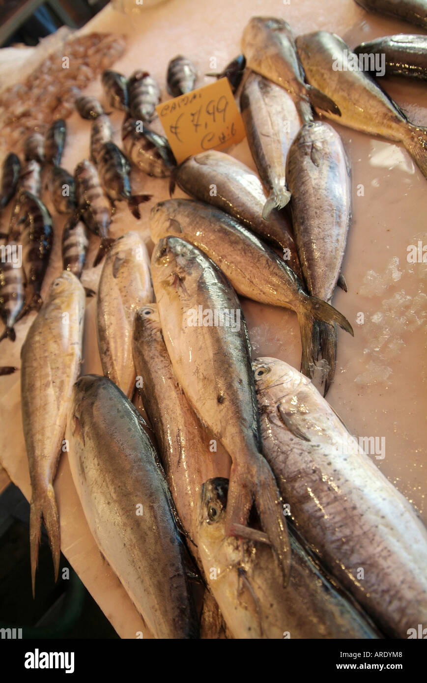 Ice, cold, slab, refrigreration, refrigerated, cool, cool, keep ...