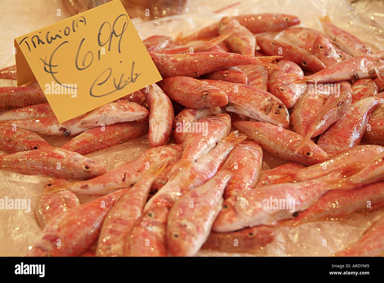 Fish stock quotas hi-res stock photography and images - Alamy
