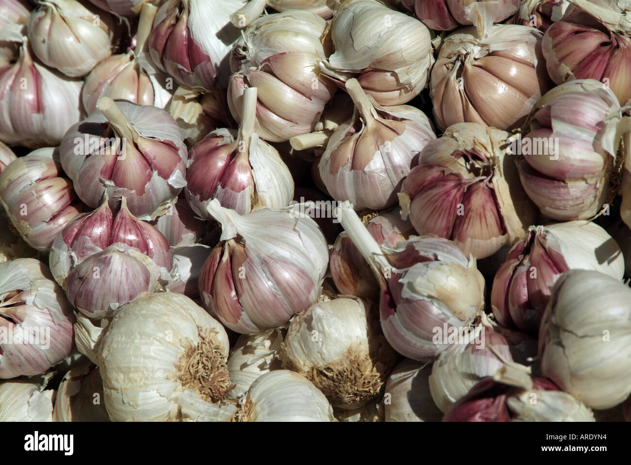 clove, garlic, flavour, french, cooking, european Stock Photo - Alamy