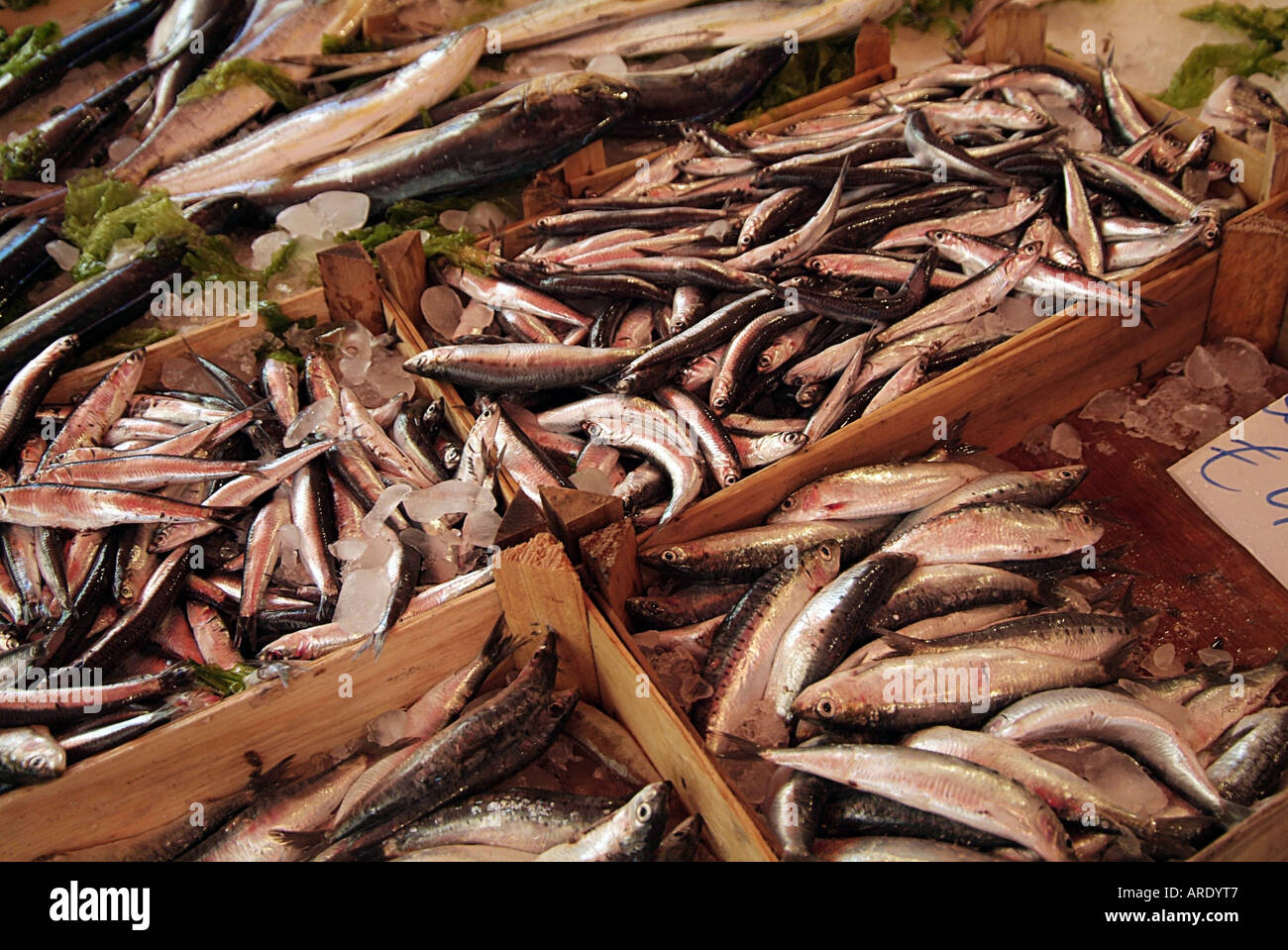 fish, omega, three, 3 Stock Photo - Alamy