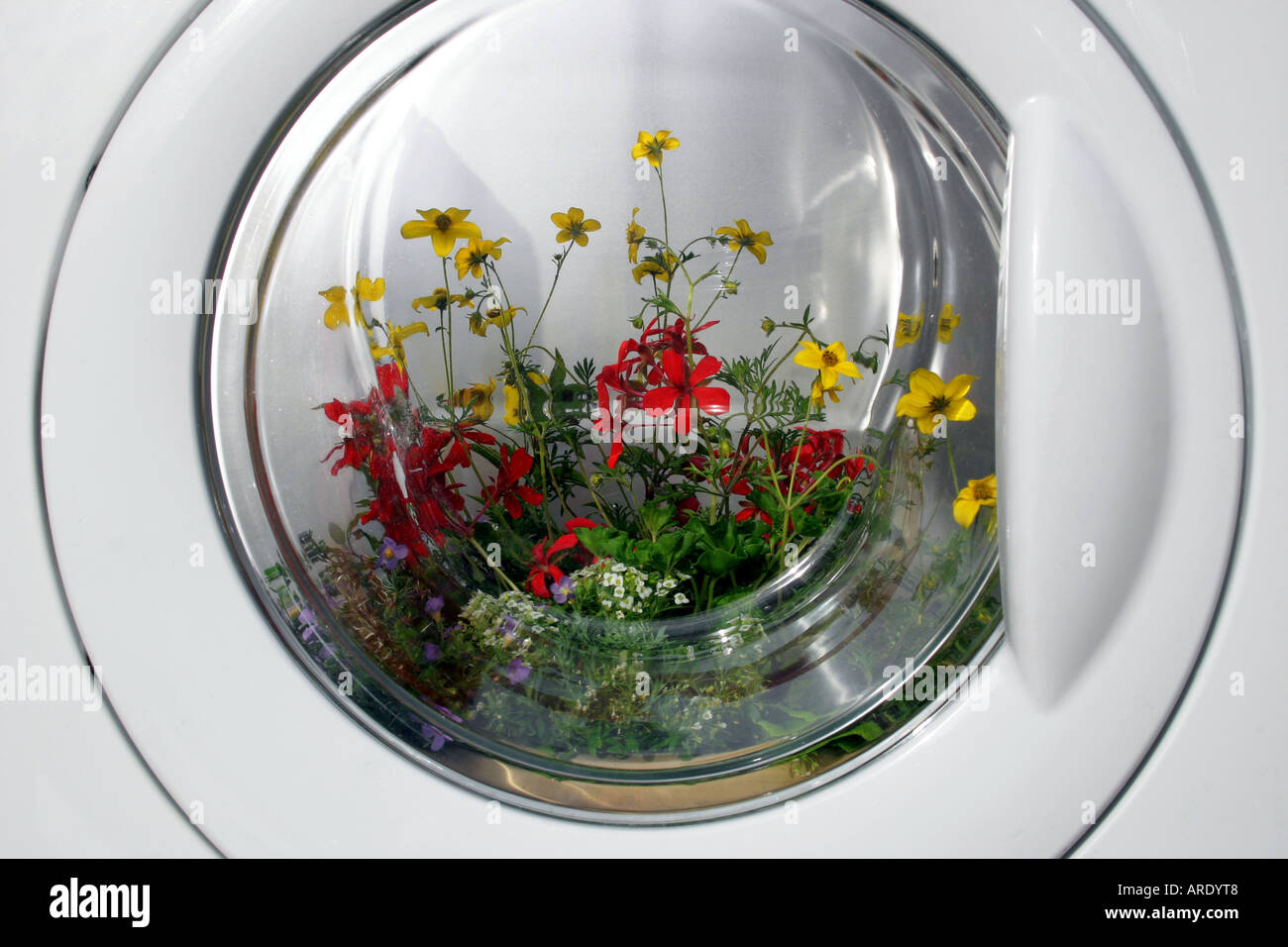 Colourful flowers inside washing machine Stock Photo - Alamy