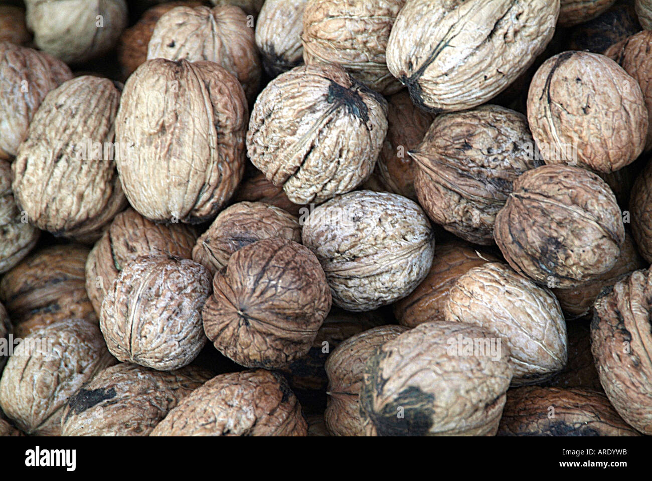 protein, healthy, walnut, shell, shells Stock Photo - Alamy