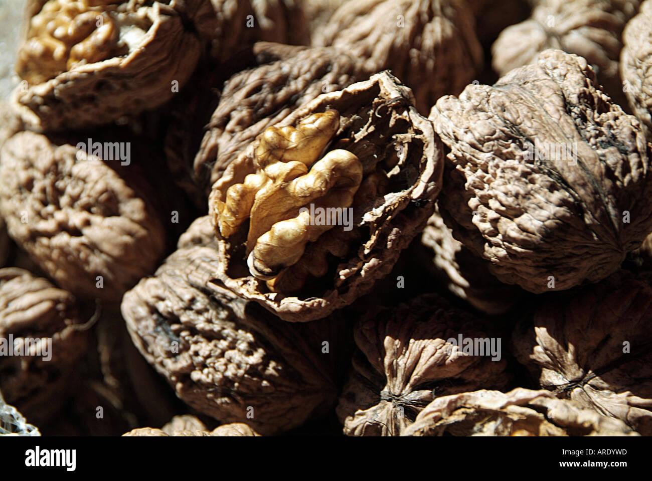 walnut, shell, shells, protein, healthy Stock Photo - Alamy