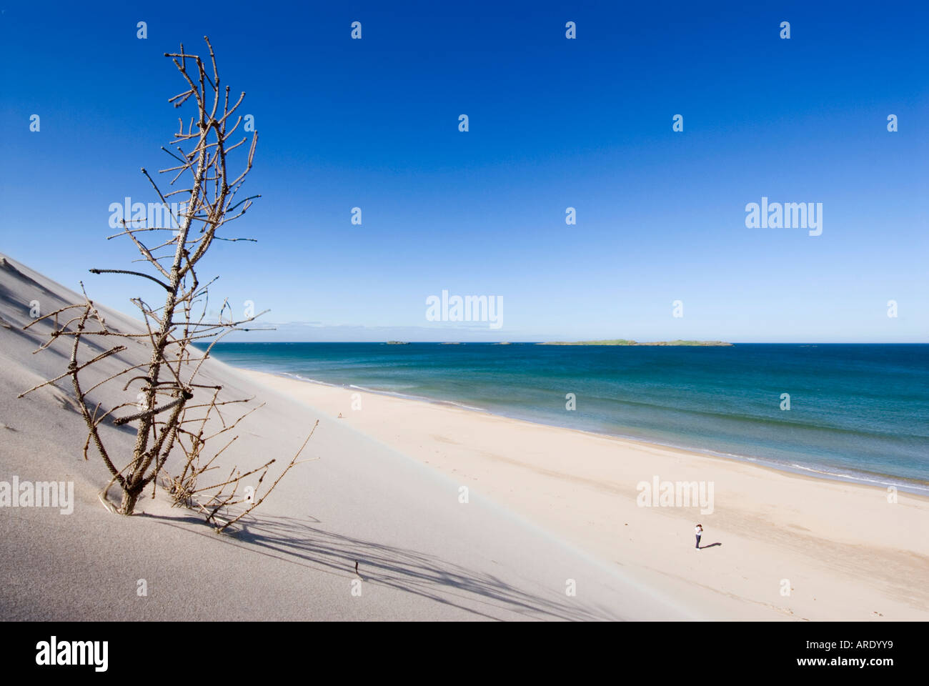White Rocks, Portrush, Co. Antrim, Northern Ireland Stock Photo - Alamy