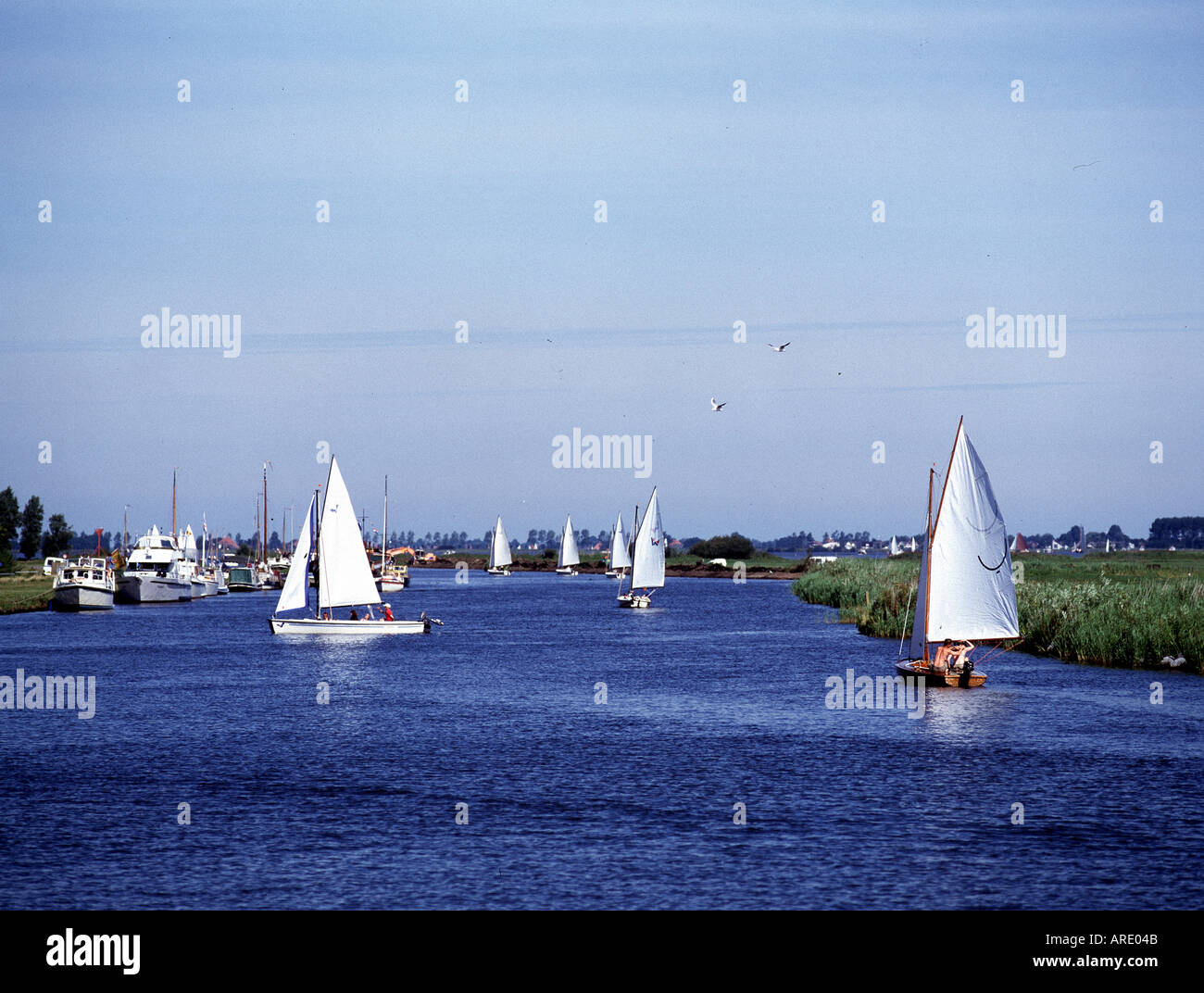 Frise Technique High Resolution Stock Photography and Images - Alamy