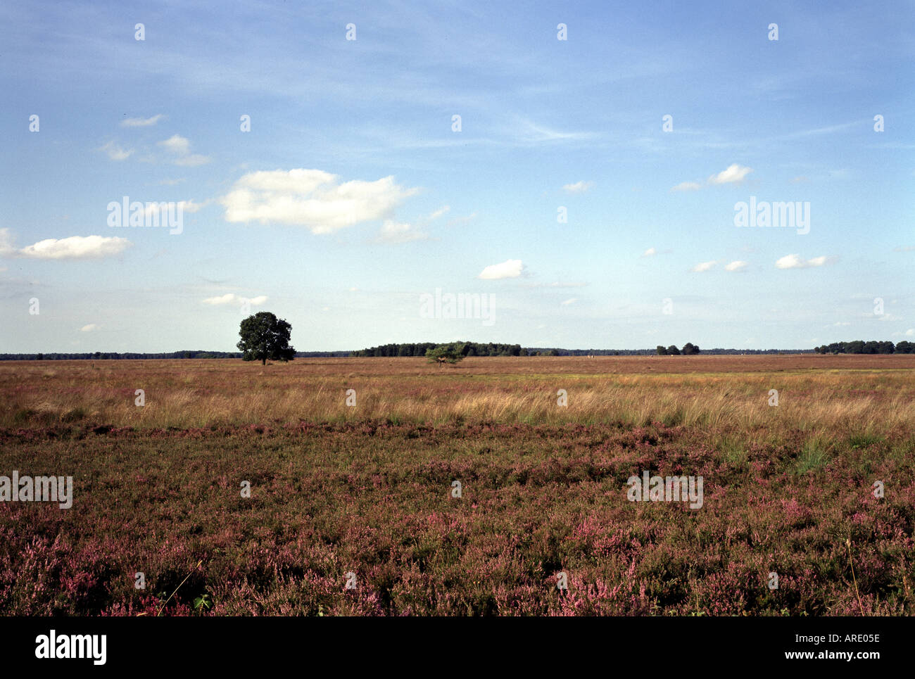 Ansen netherlands hi-res stock photography and images - Alamy