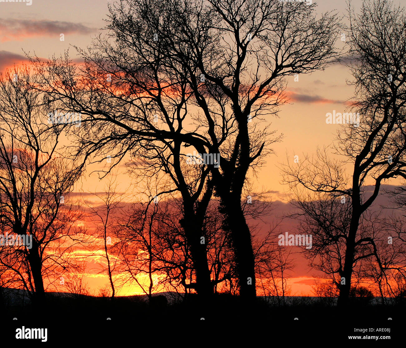 Quantocks somerset levels hi-res stock photography and images - Alamy