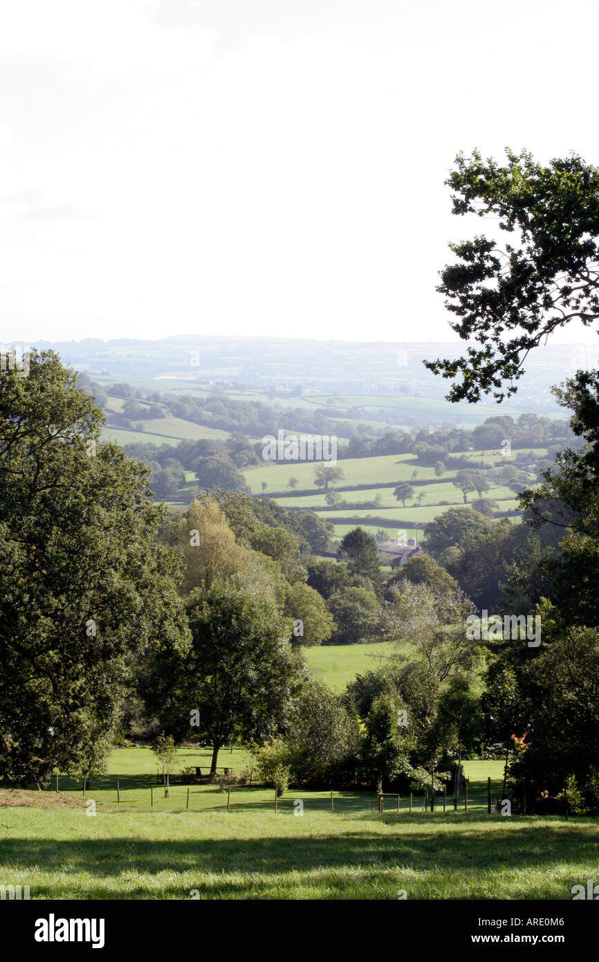 From axminster hi-res stock photography and images - Alamy