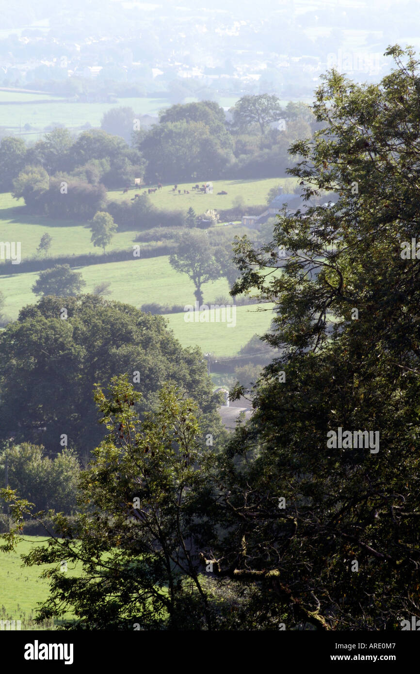 Burrow farm garden hi-res stock photography and images - Alamy