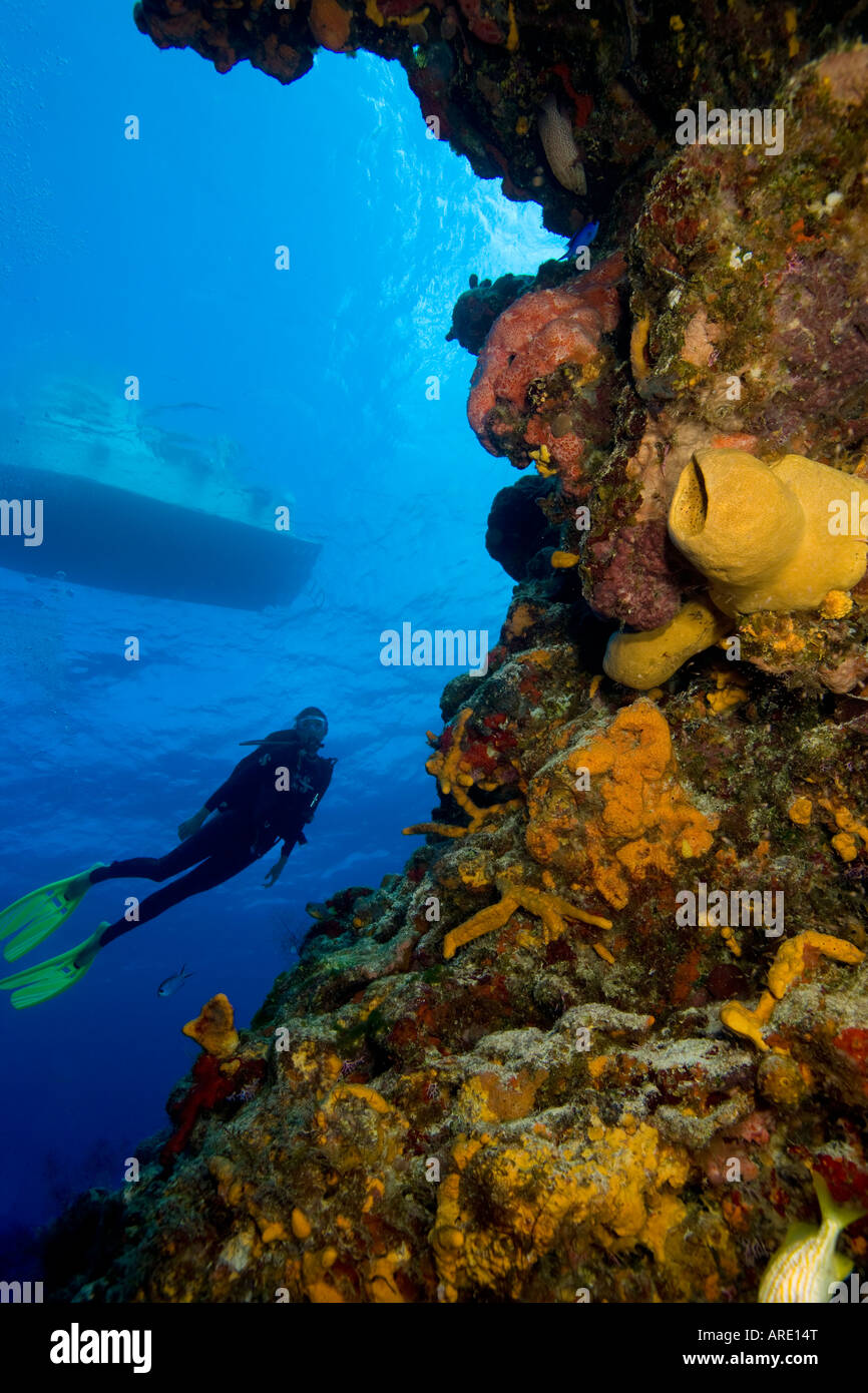 Jet boat mexico hi-res stock photography and images - Alamy