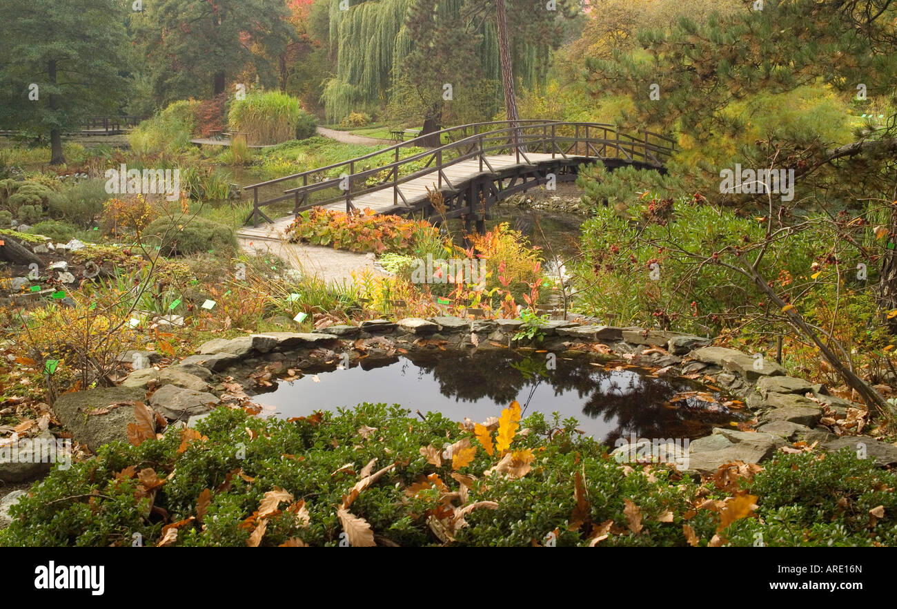Botanical Garden in autumn Stock Photo - Alamy