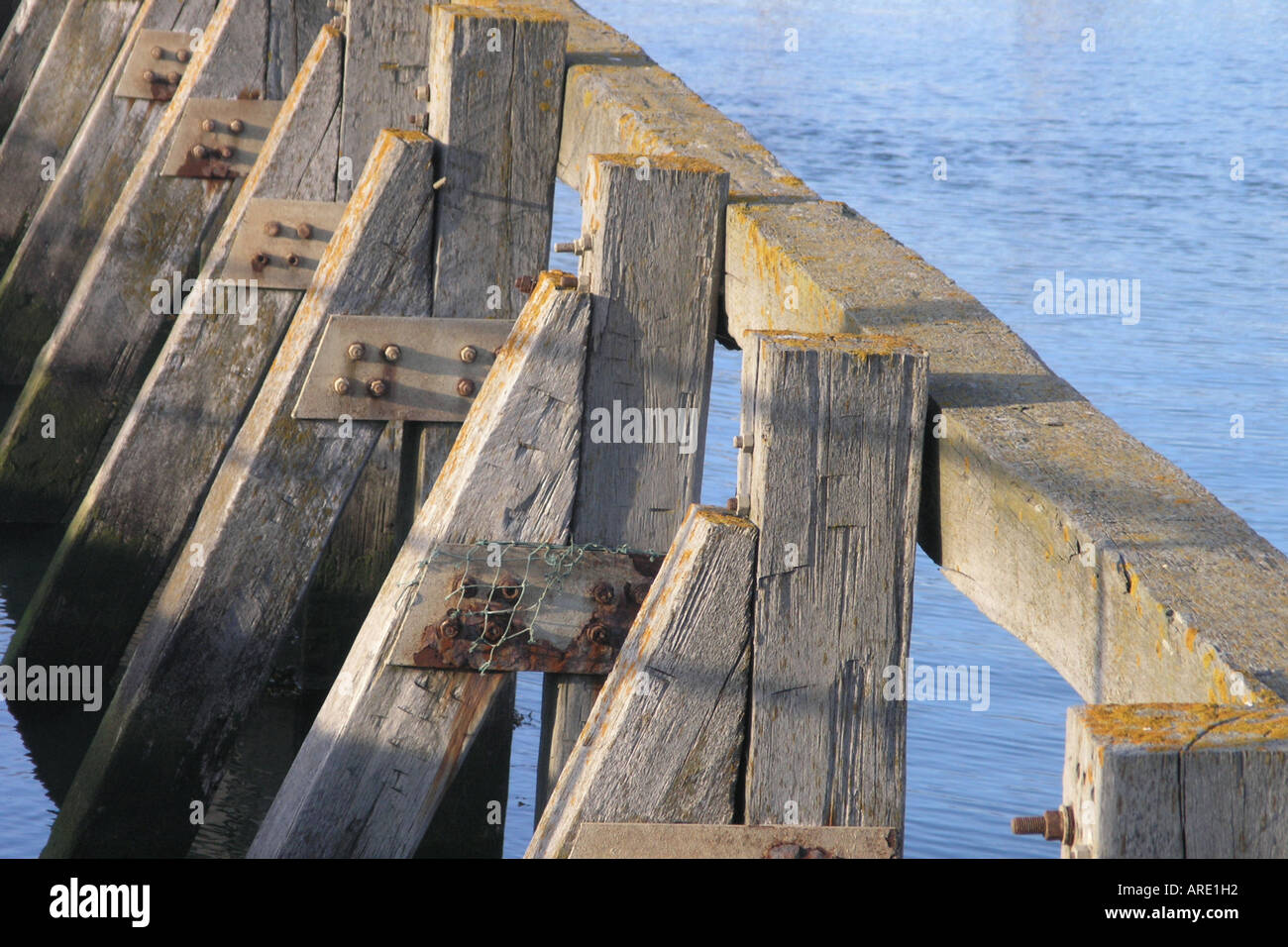 Wooden groynes in sea water Stock Photo - Alamy
