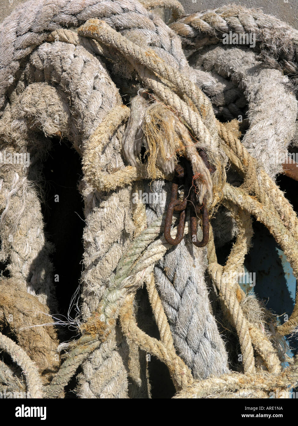 Used to tie knot hi-res stock photography and images - Alamy