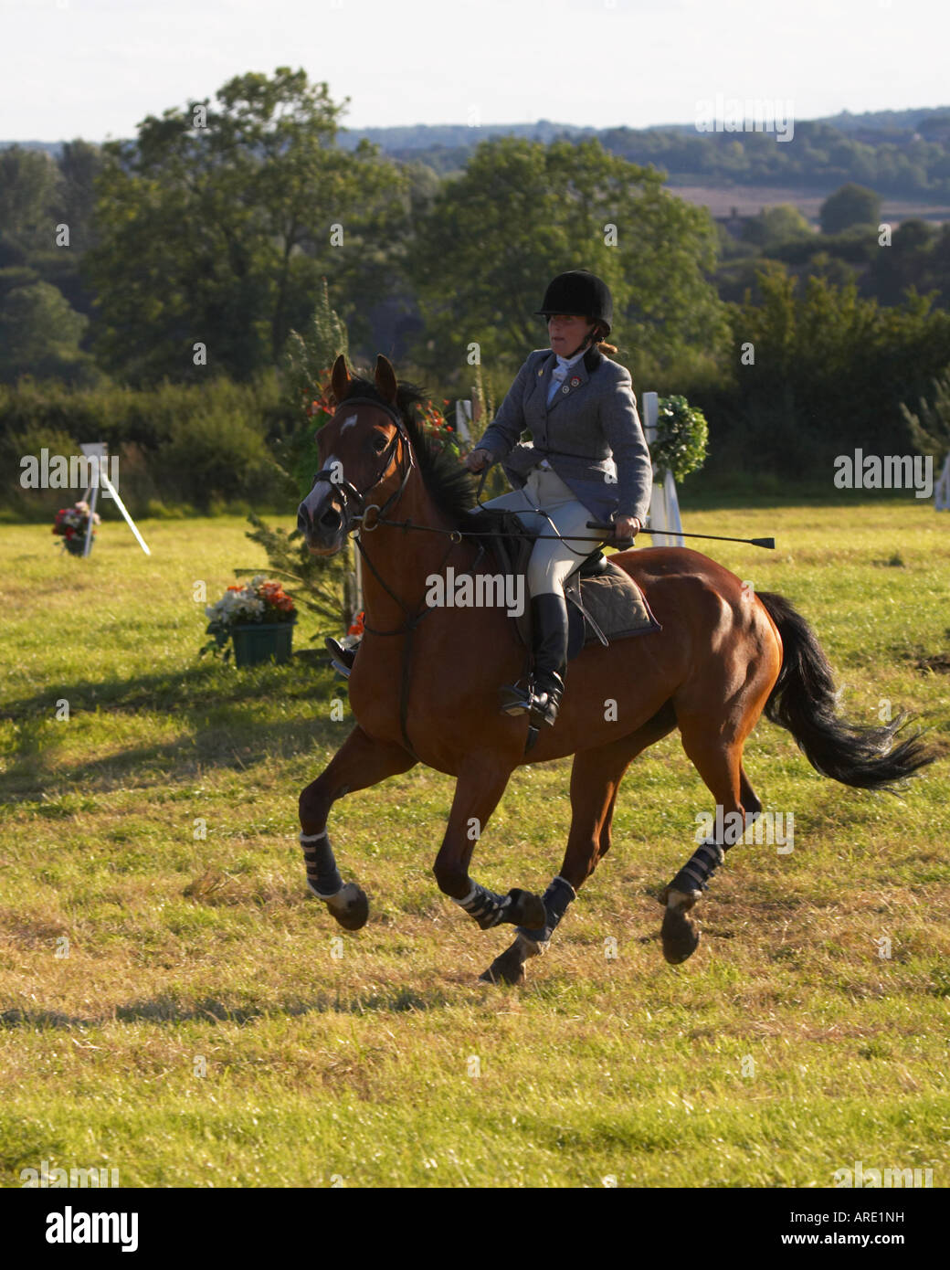 Horse riding competitor Stock Photo - Alamy