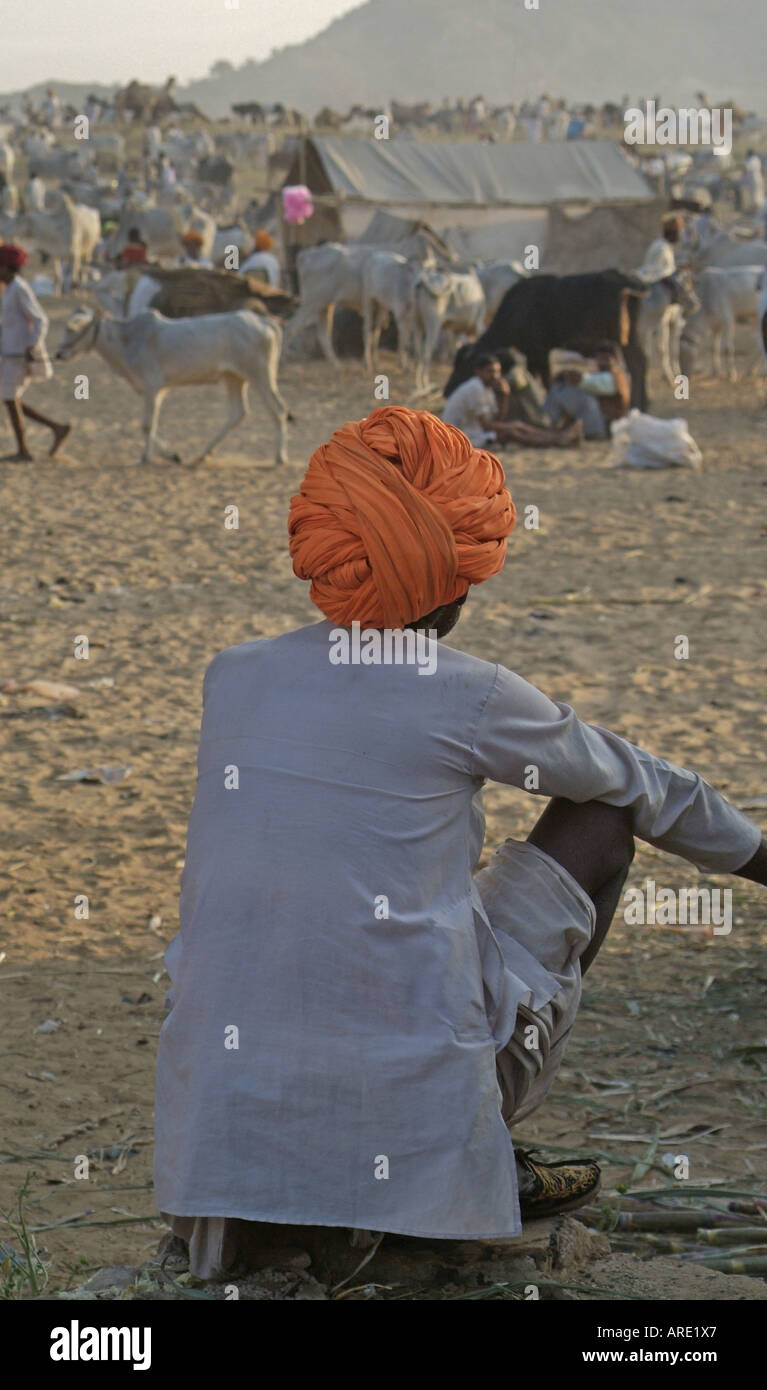 Camel trader at the Pushkar Camel Fair in Rajasthan, India Stock Photo ...