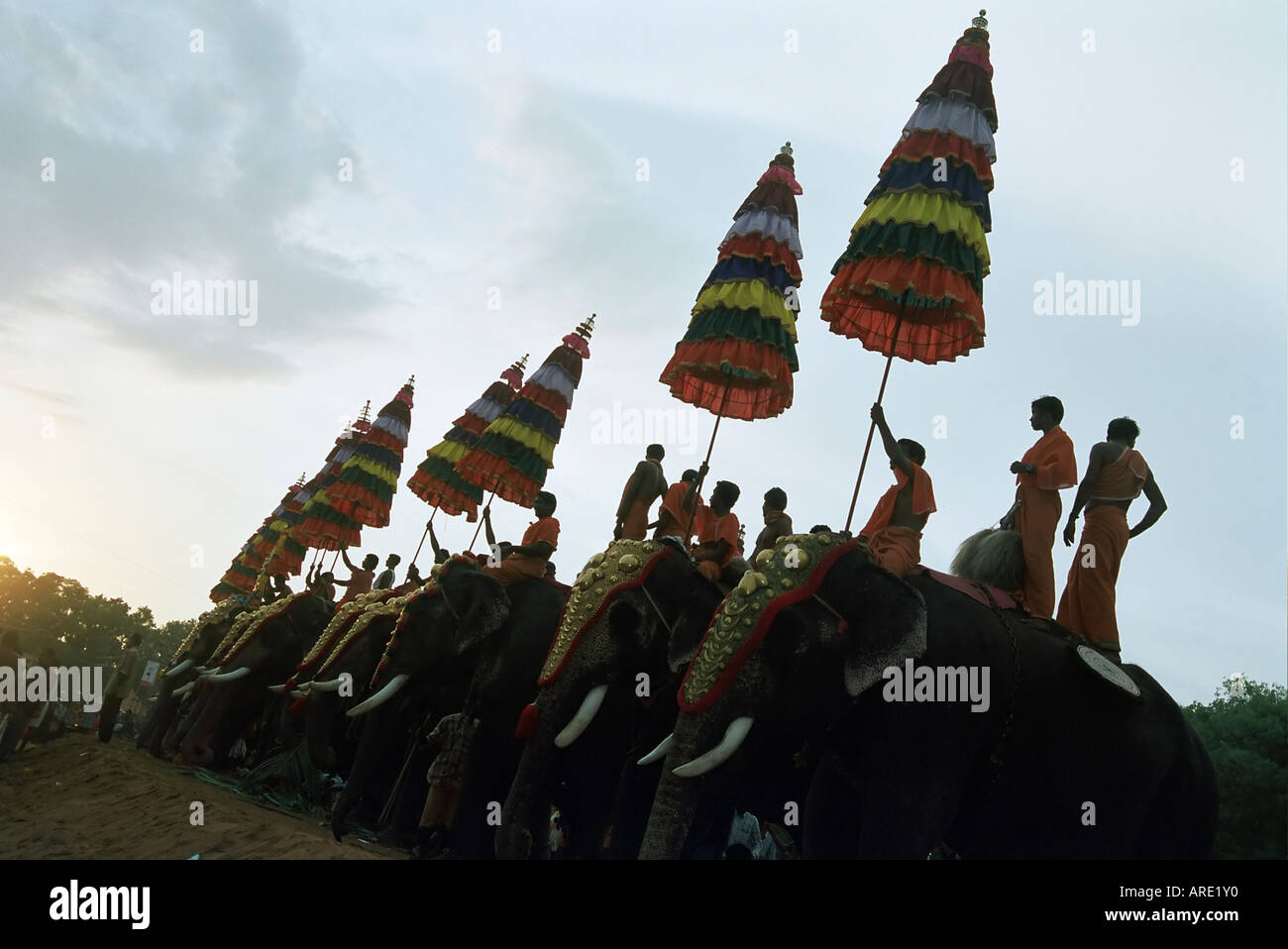 Puram elephant festival hi-res stock photography and images - Alamy