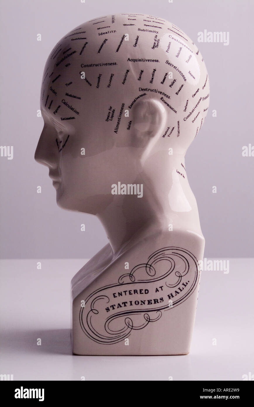 Phrenology head displaying what were believed to be the areas of the ...