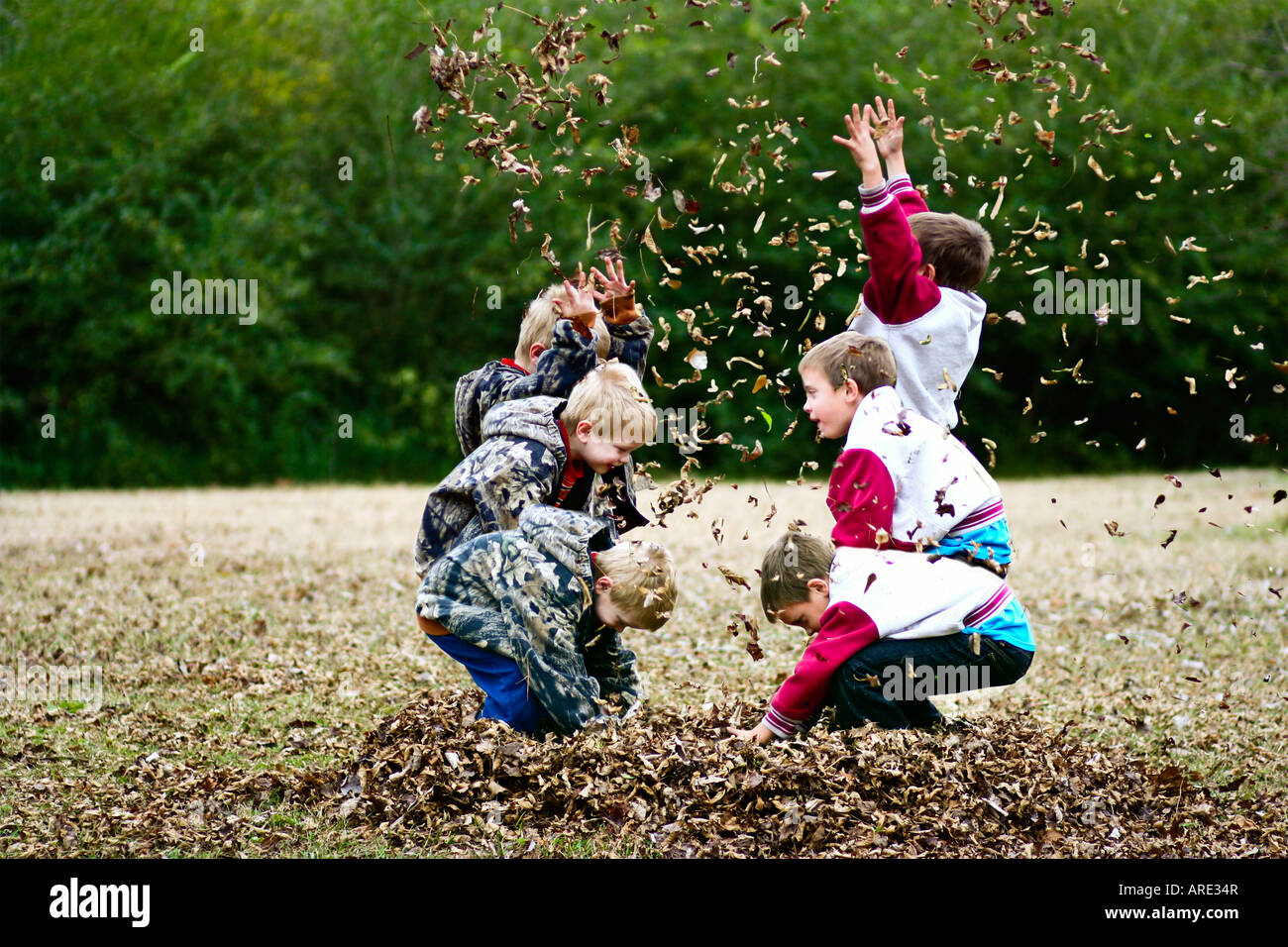 Time lapse photo of boys playing in leaves in the fall Stock Photo - Alamy