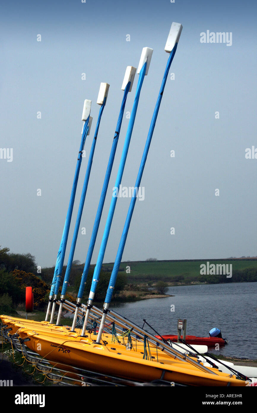 Line of yellow boats with blue masts portrait setting Stock Photo - Alamy