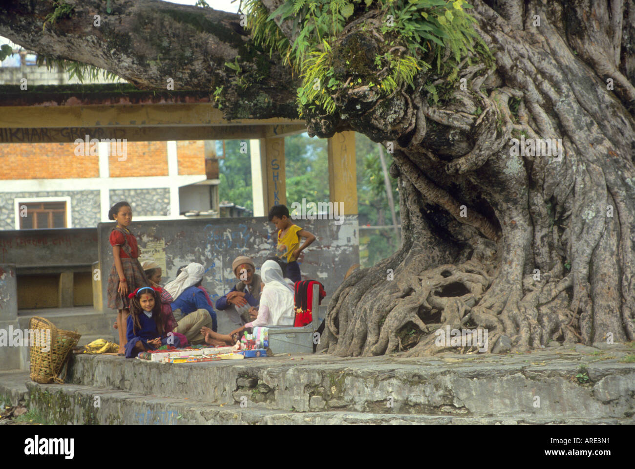 Meeting under the tree hi-res stock photography and images - Alamy