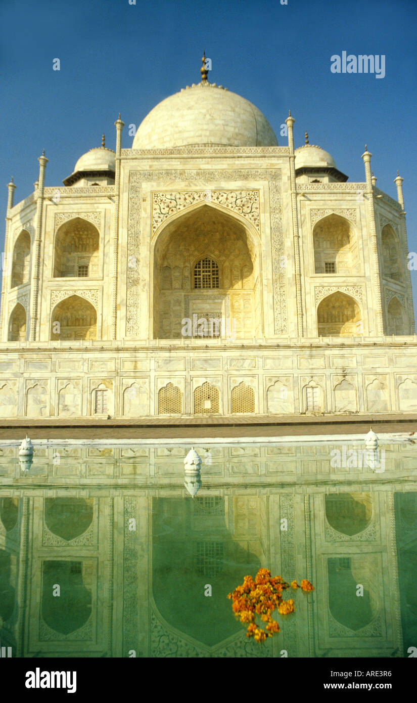 flowers floating in the water at the side of Agra's Taj Mahal Stock ...