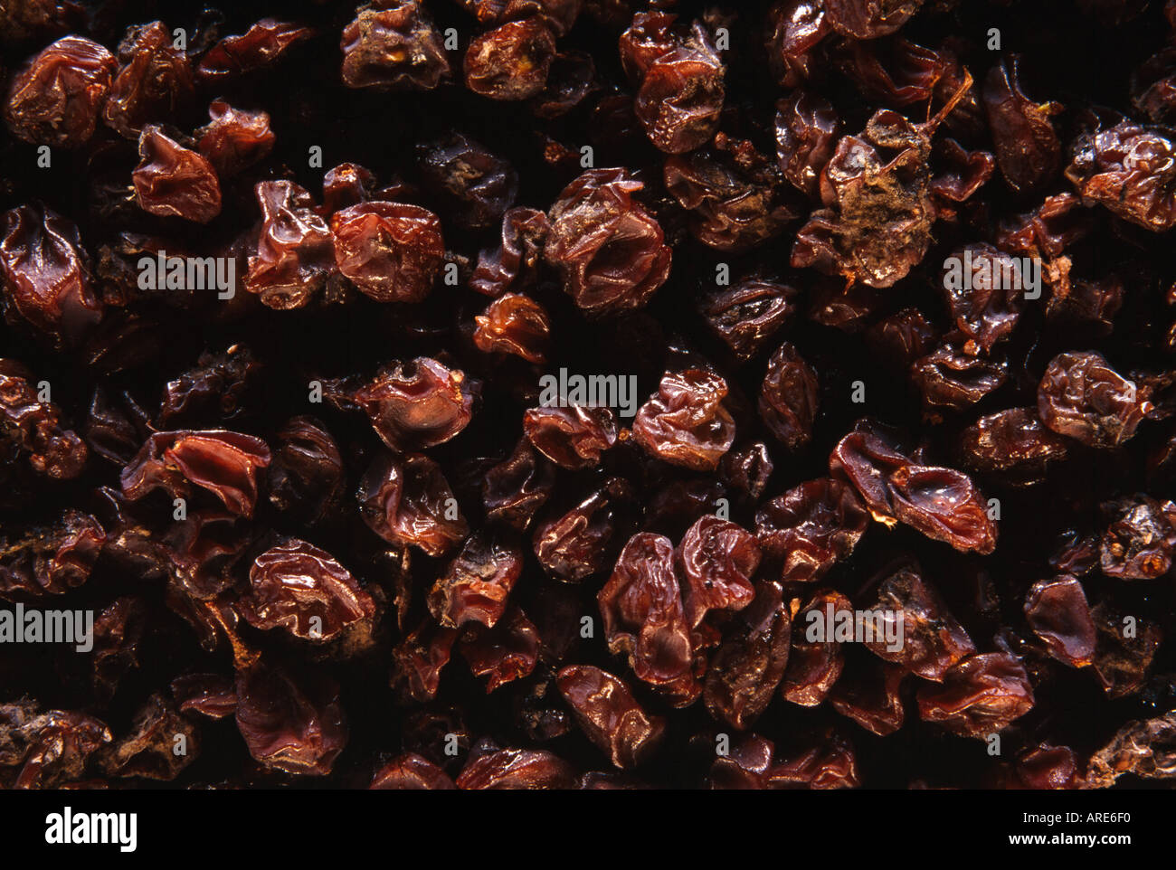 Tokaj aszu hi-res stock photography and images - Alamy