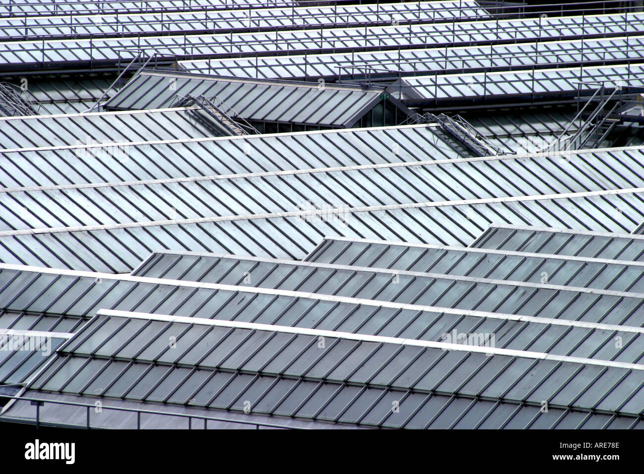 Wide area of industrial glass roof with many ridges valleys and spans ...
