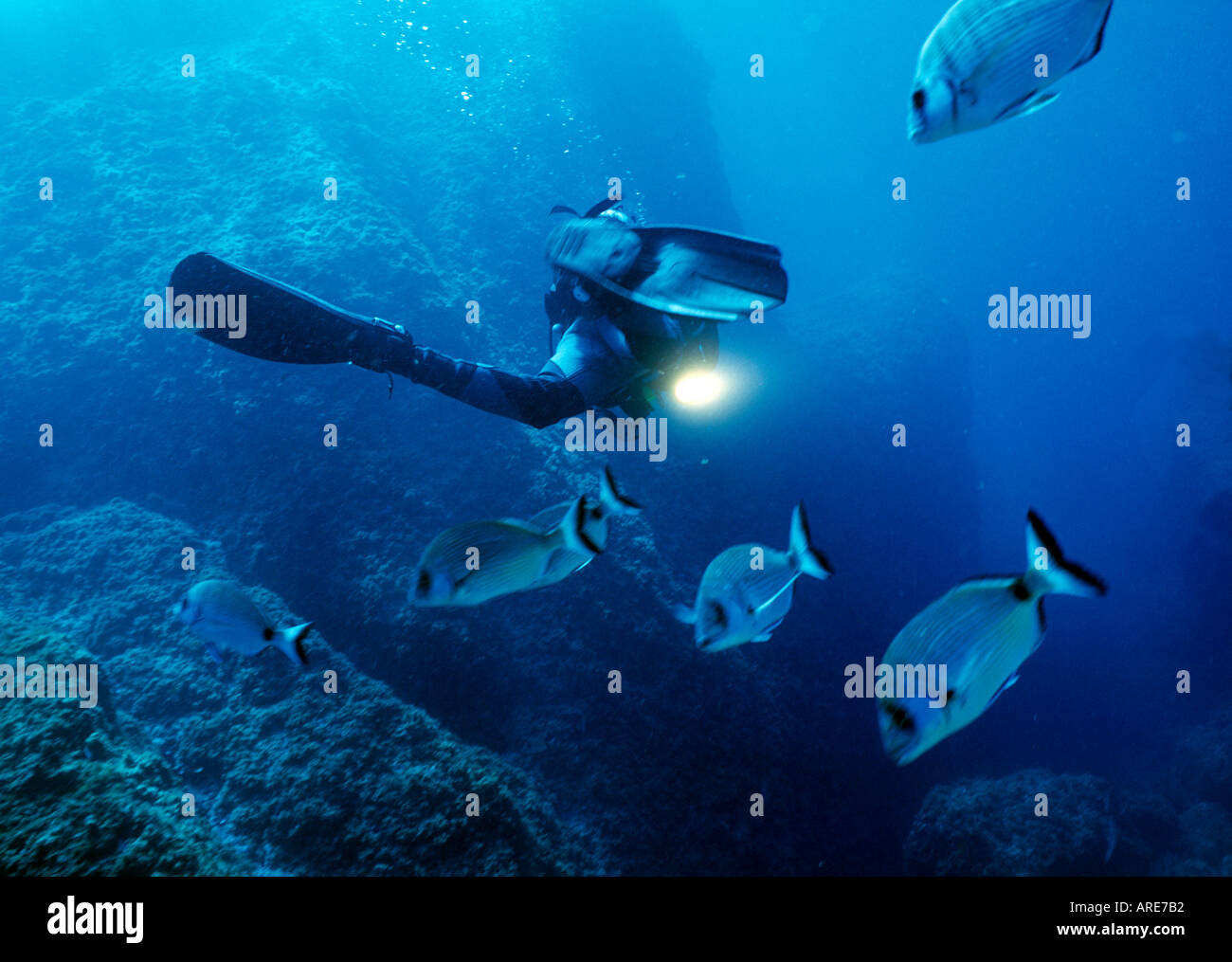 Medes island underwater hi-res stock photography and images - Alamy
