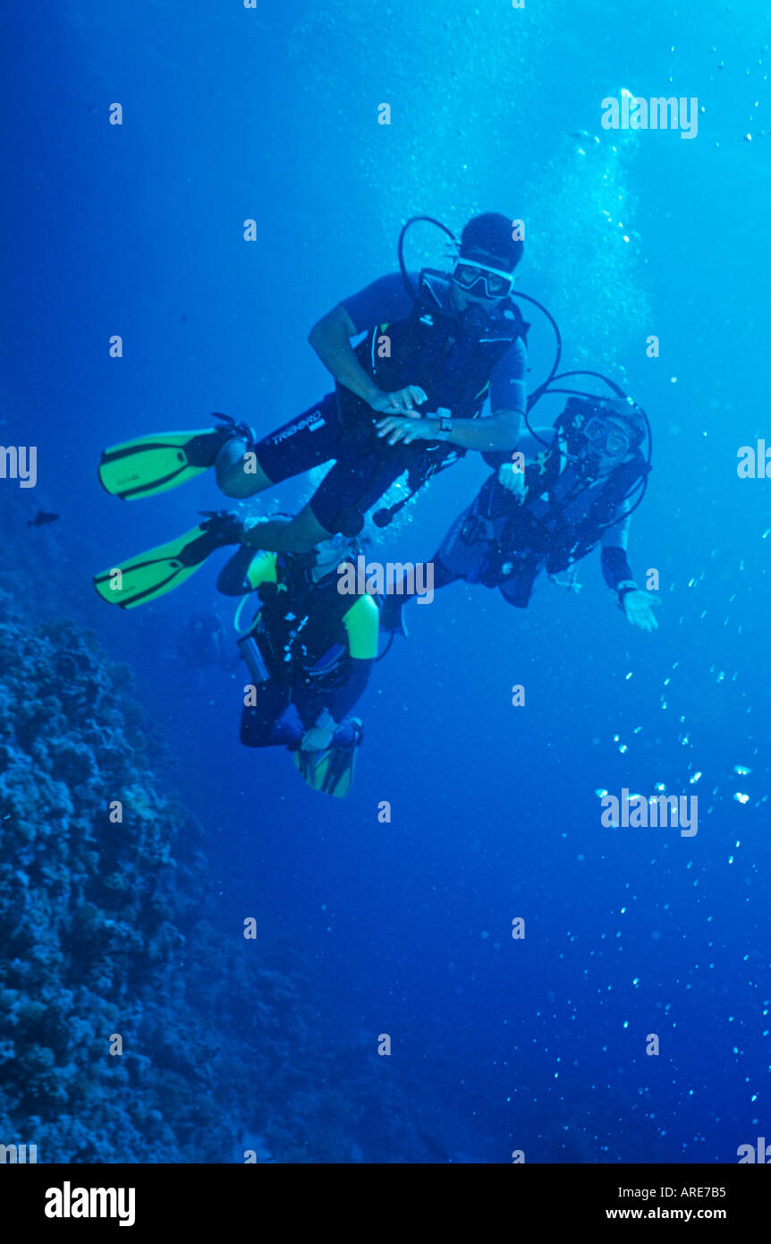 Egypt Africa Divers "talking Stock Photo - Alamy