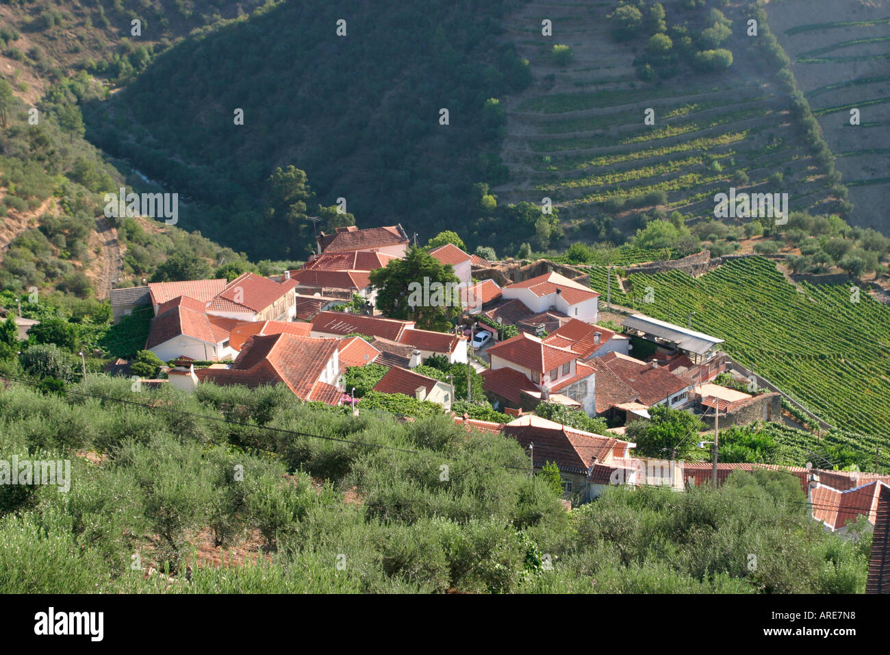 Scenic port wine area hi-res stock photography and images - Alamy