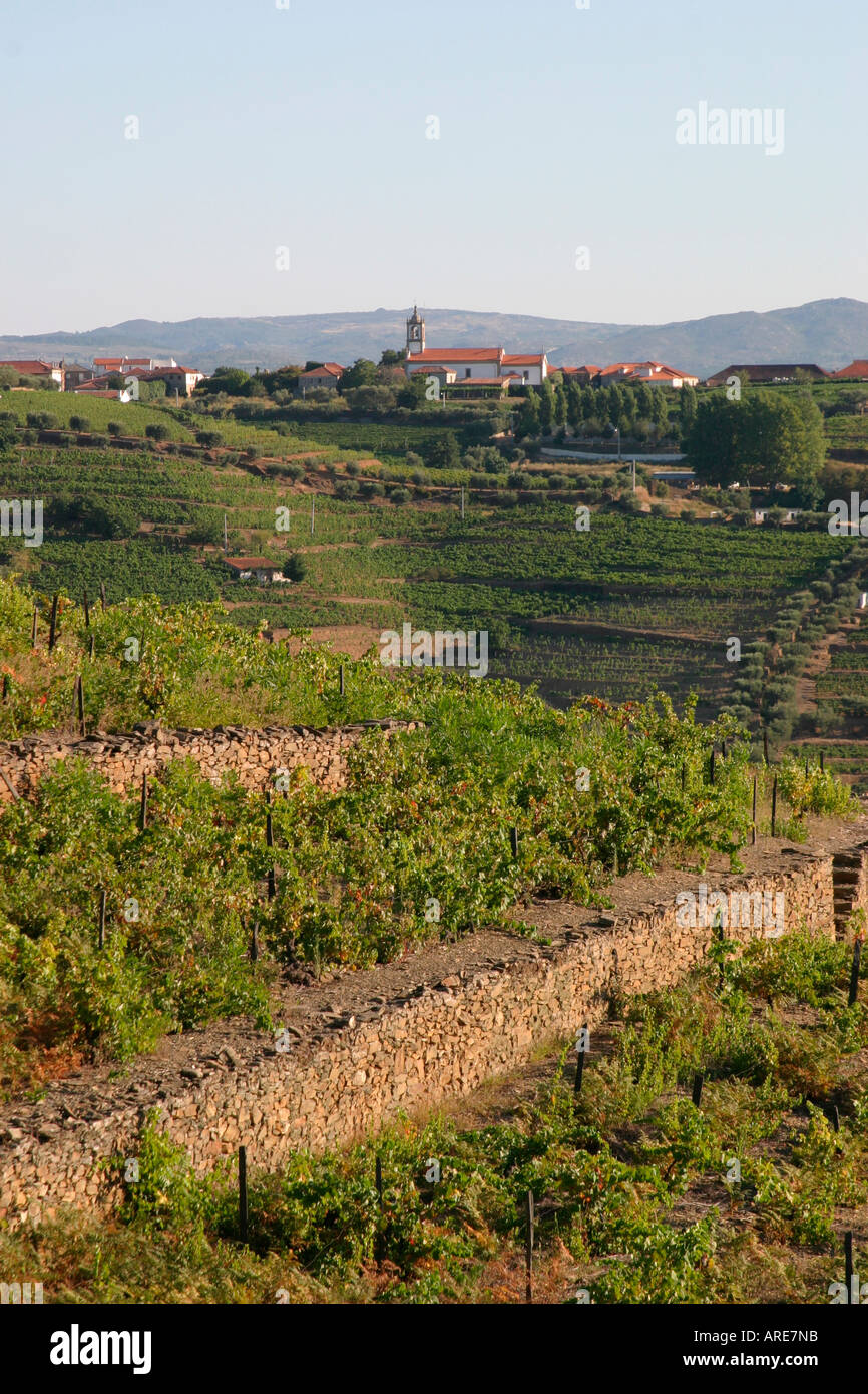 Scenic port wine area hi-res stock photography and images - Alamy