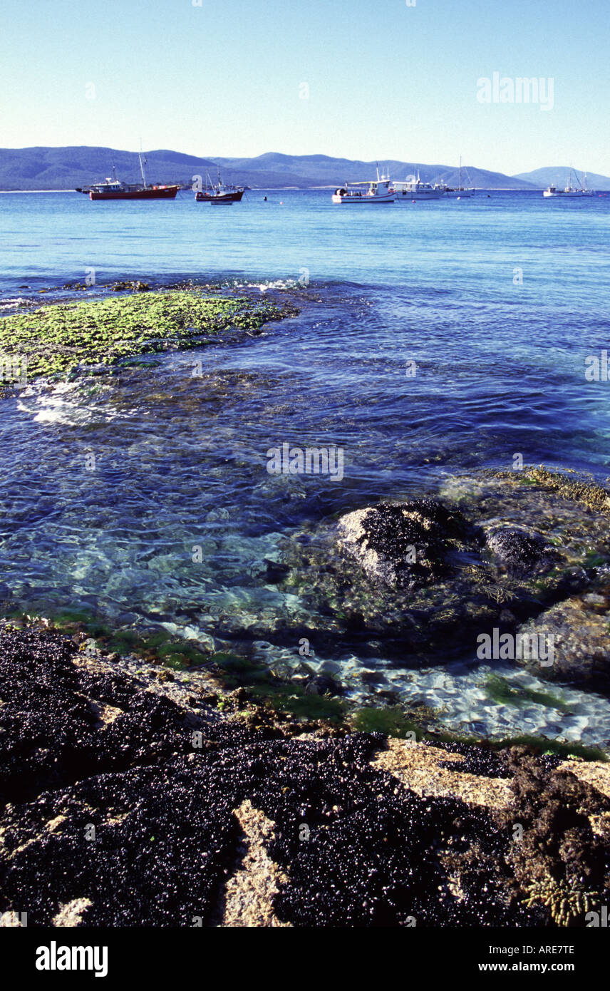 Fishing boats at Waubs Bay Bicheno East Coast Tasmania Australia Stock ...