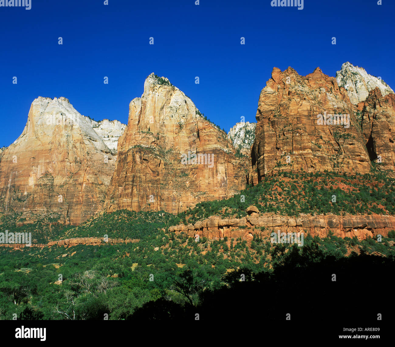 The Three Patriarchs Zion National Park Utah USA Stock Photo - Alamy