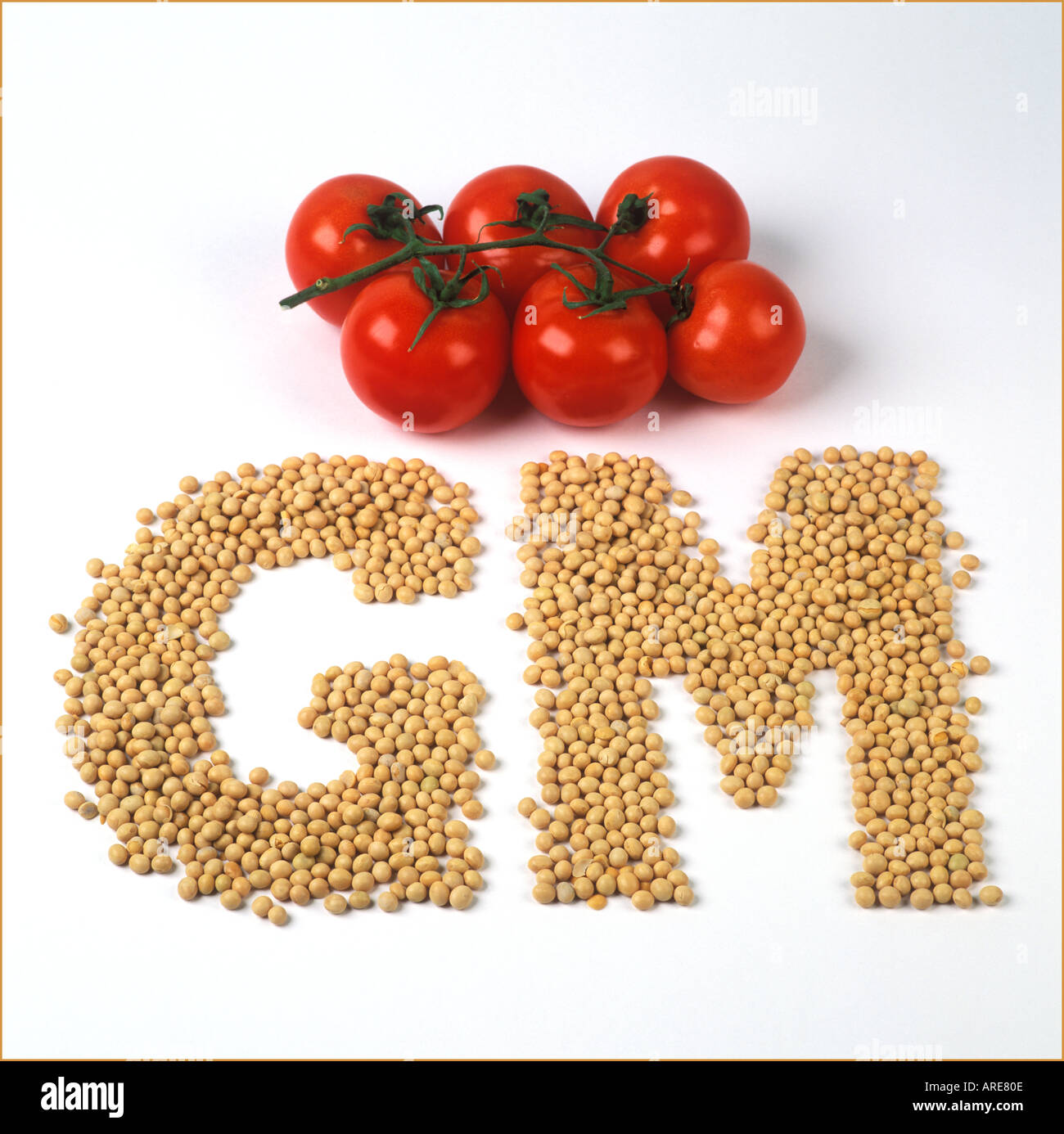 Genetically modified tomatoes and soya beans Stock Photo - Alamy