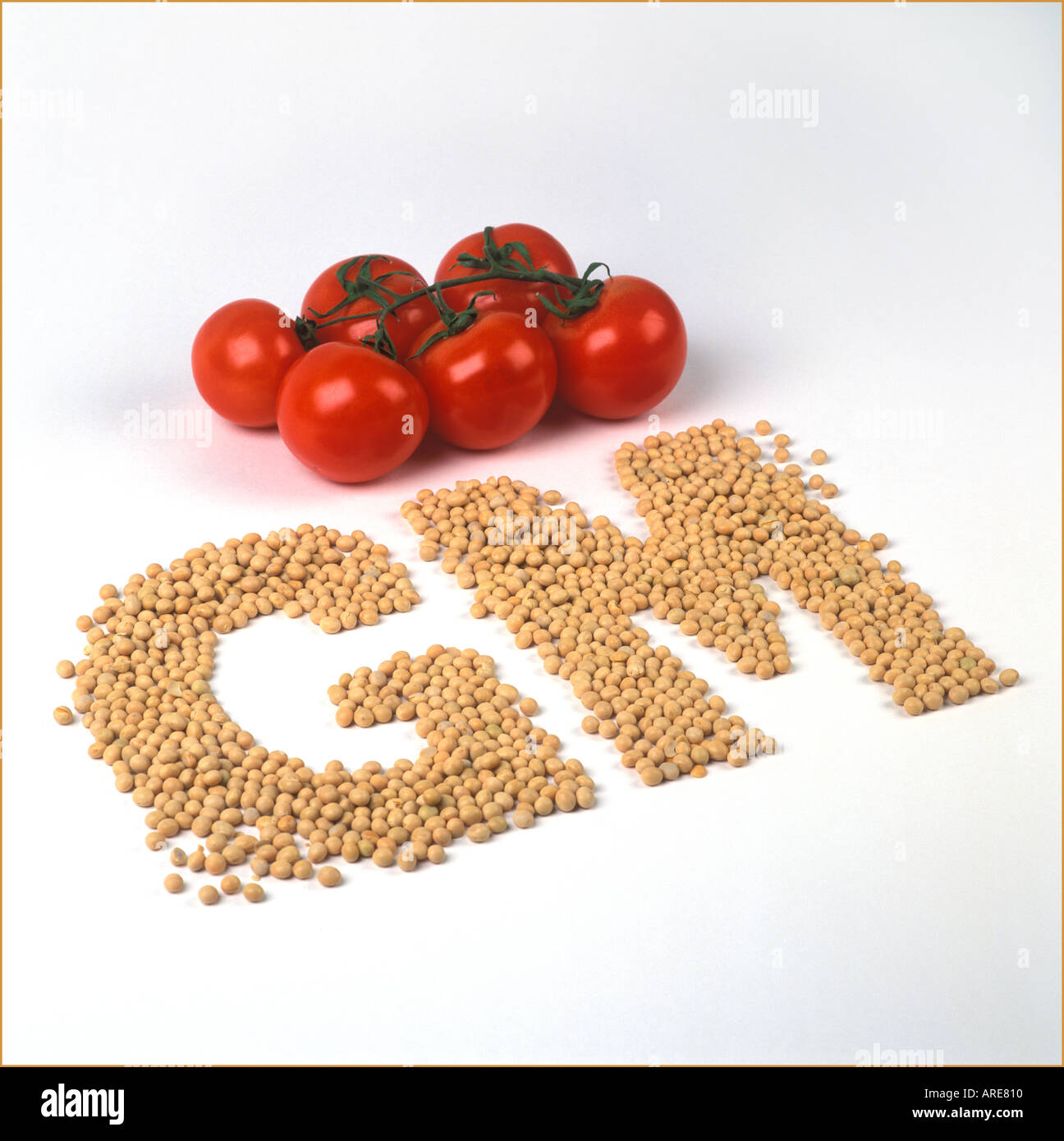 Genetically modified tomatoes and soya beans Stock Photo - Alamy
