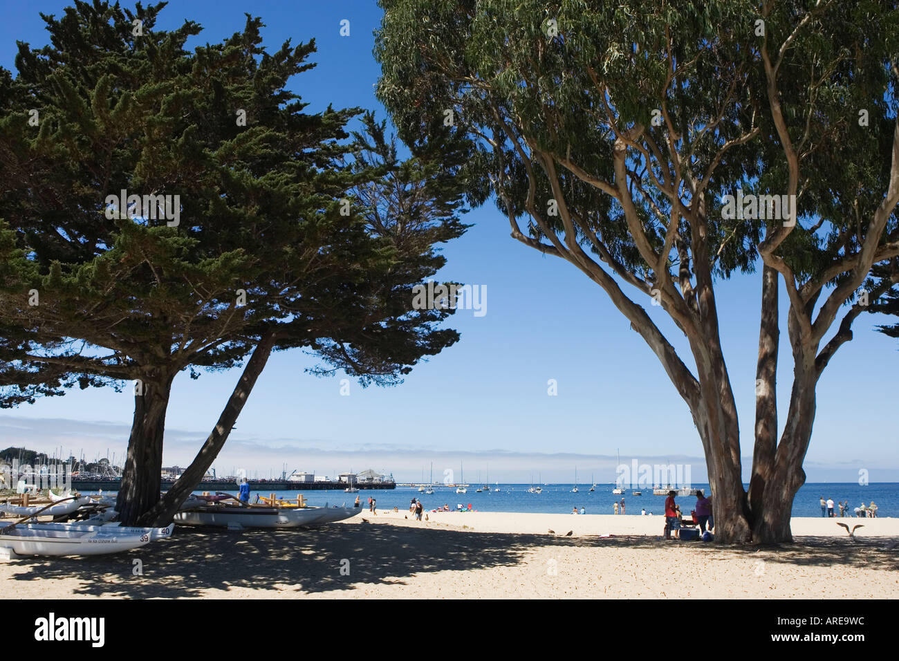 Monterey State Beach Monterey California USA September 2006 Stock Photo ...