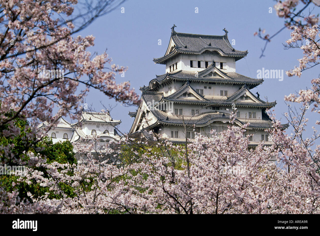 Exterior view of Himeji castle in springtime Himeji Hyogo Prefecture ...