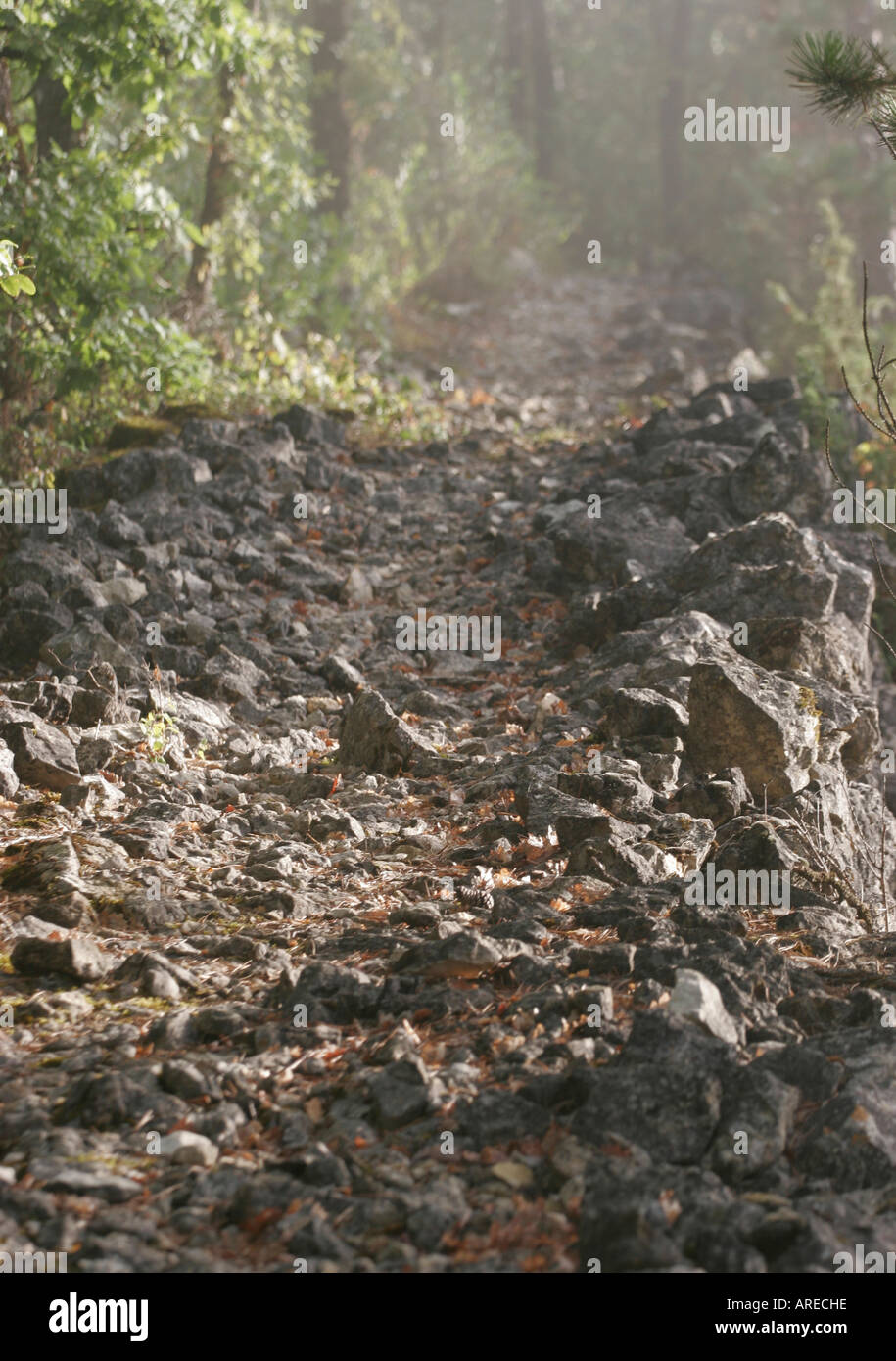 Roman stone track at Albas, south west France Stock Photo - Alamy