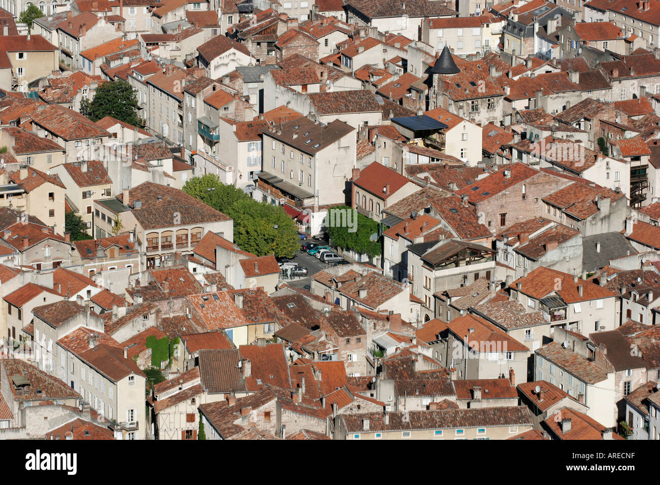 French pyrenees birds hi-res stock photography and images - Alamy