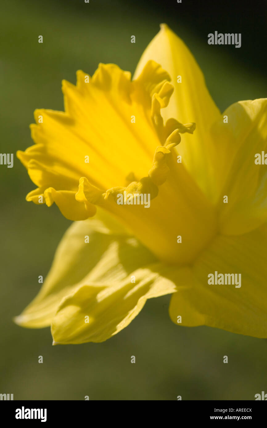 Spring at last Stock Photo - Alamy