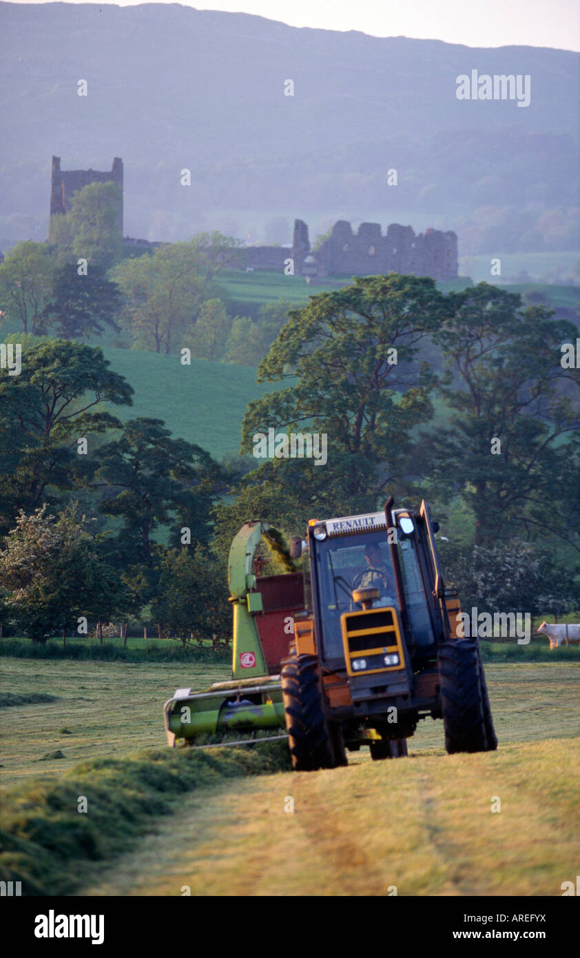 Making silage with a tractor driven forager with Brough Castle in the ...