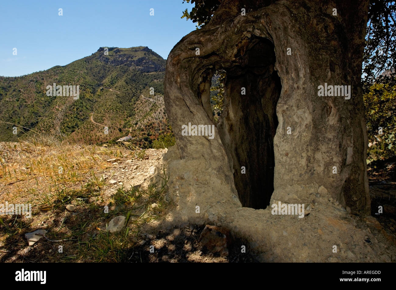 Adl1075 hi-res stock photography and images - Alamy